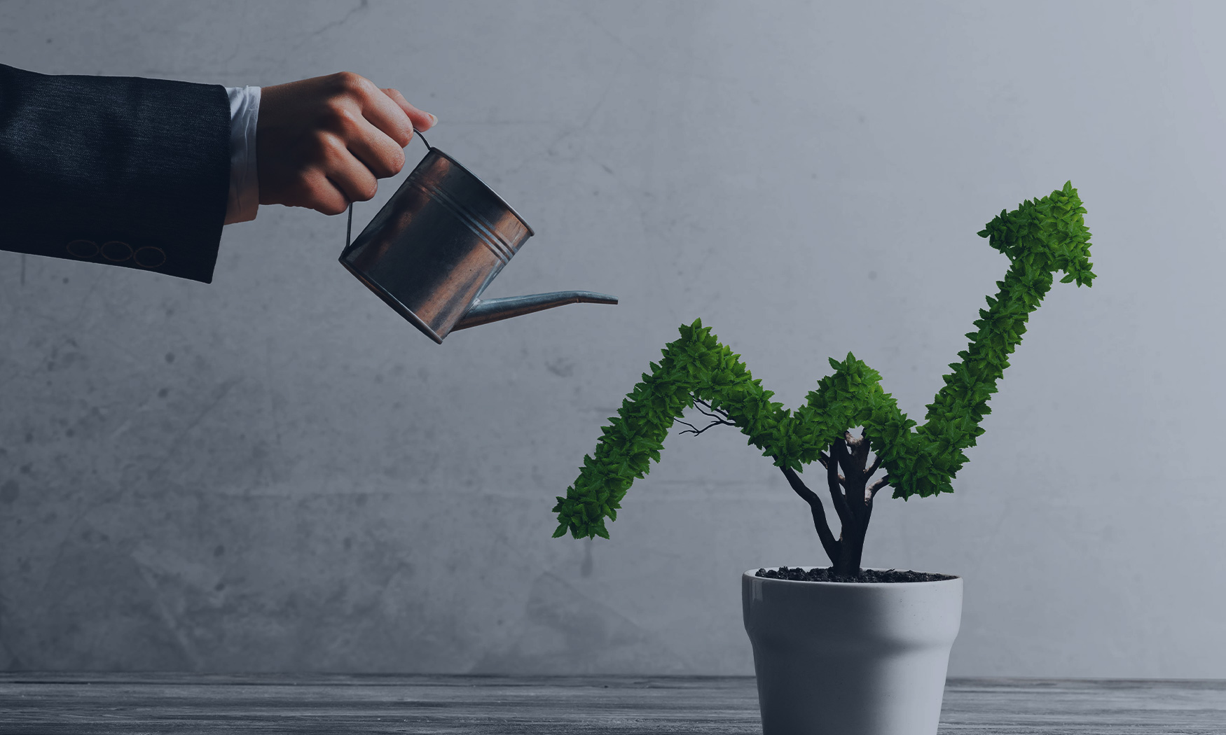 Flower Accounting | Blog | Accountants | Consultants | Partners